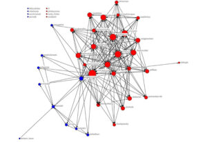Network Diagram - Think Design