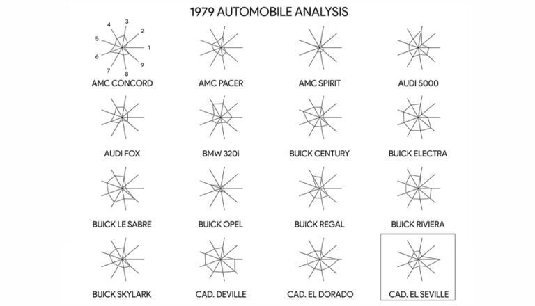 Spider Graph: A Network Visualization Technique